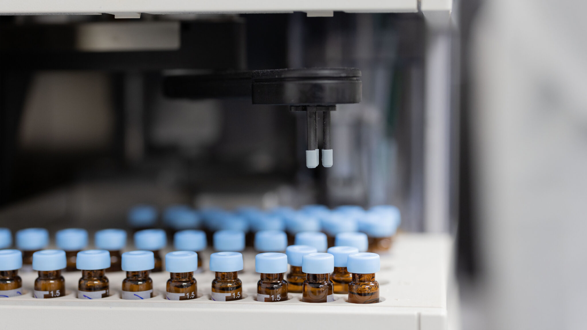 For Providers | SKNV